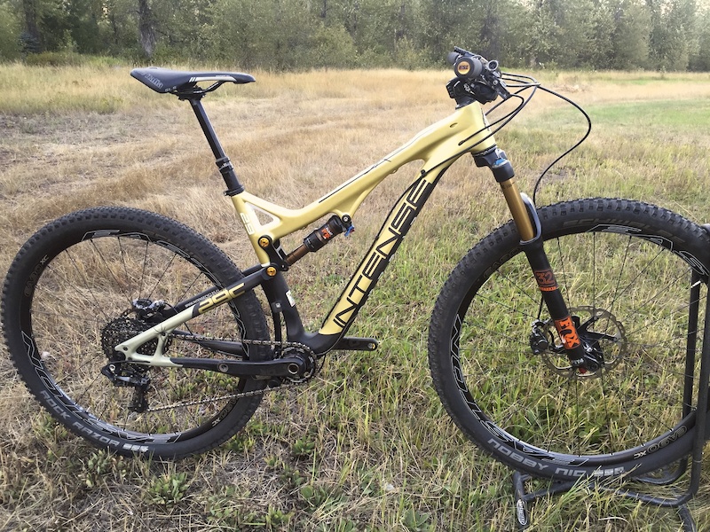 2015 Intense Spider 29C custom For Sale