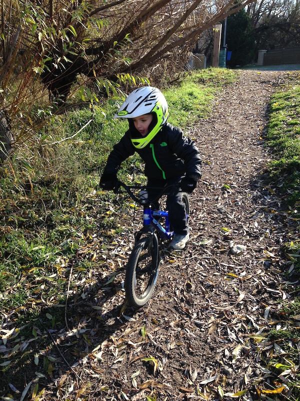 2015 Spawn Banshee 16" Blue For Sale