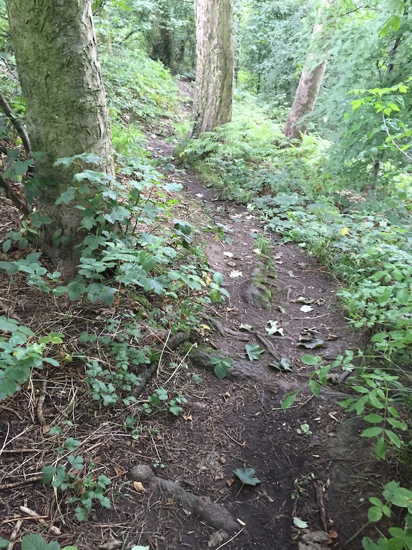 Upper/ Lower Keele Golf Course Mountain Biking Trail