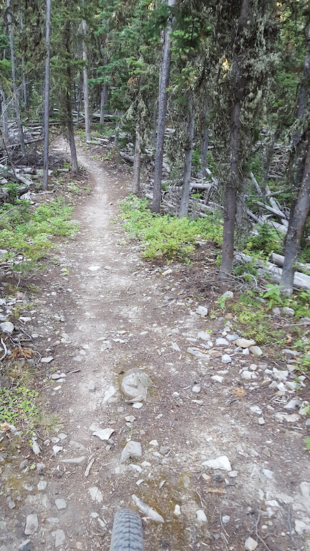 Madison Loop Mountain Biking Trail - Big Sky, Montana