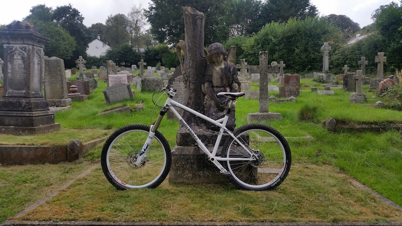 2015 Dialled Alpine For Sale