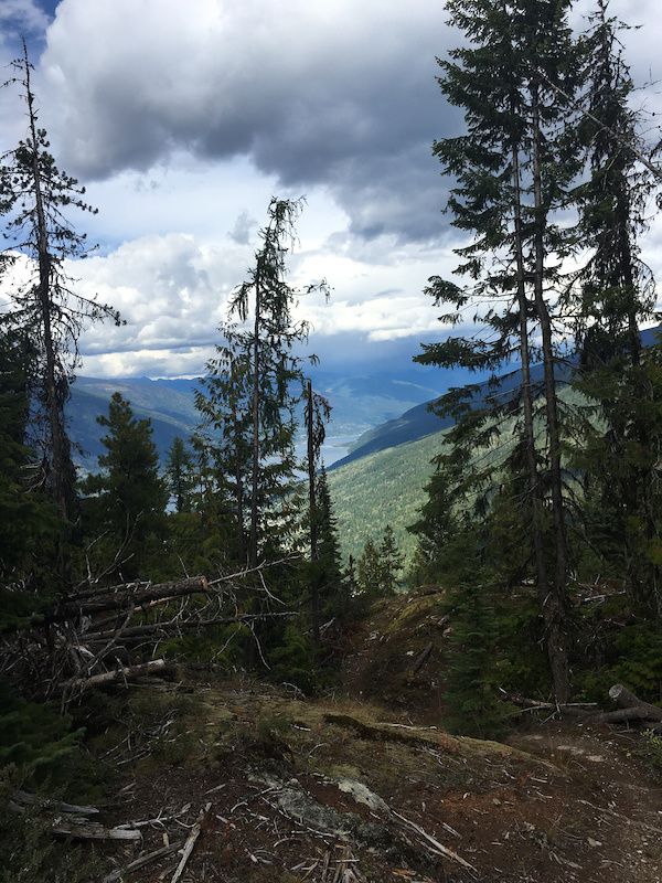 Gold Rush Mountain Biking Trail - Nelson, BC