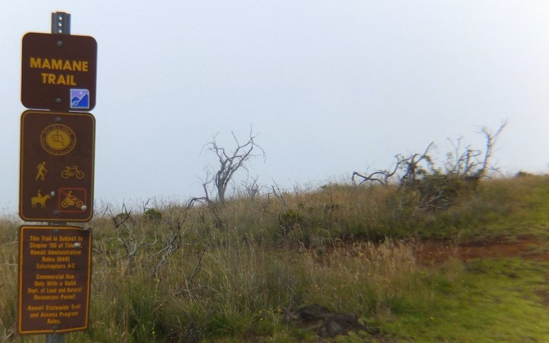 Mamane Multi Trail - Kula, Hawaii | Trailforks