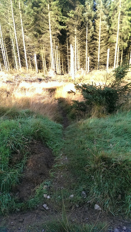 smiley face trail Mountain Biking Trail - Stonehaven