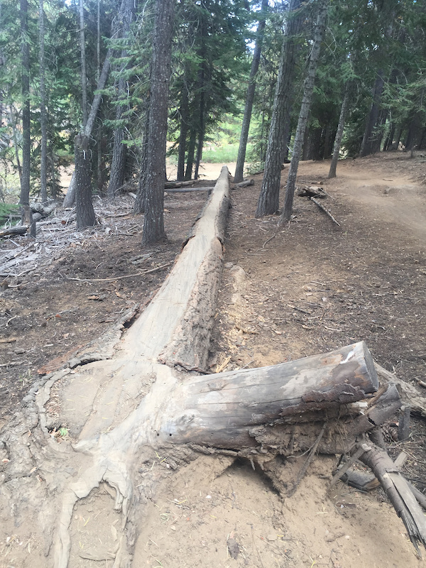 Funner Mountain Biking Trail - Wanoga, Bend, Oregon
