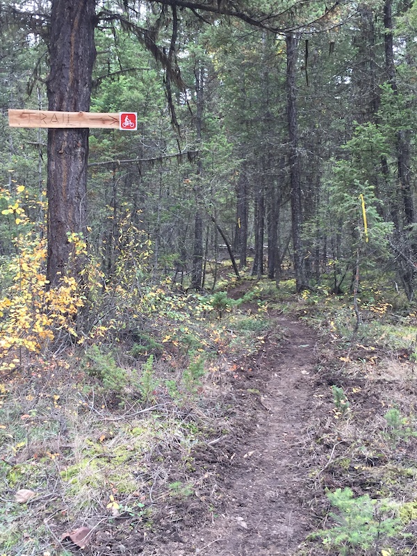 Squiggly Bench Mountain Biking Trail - McLeese Lake