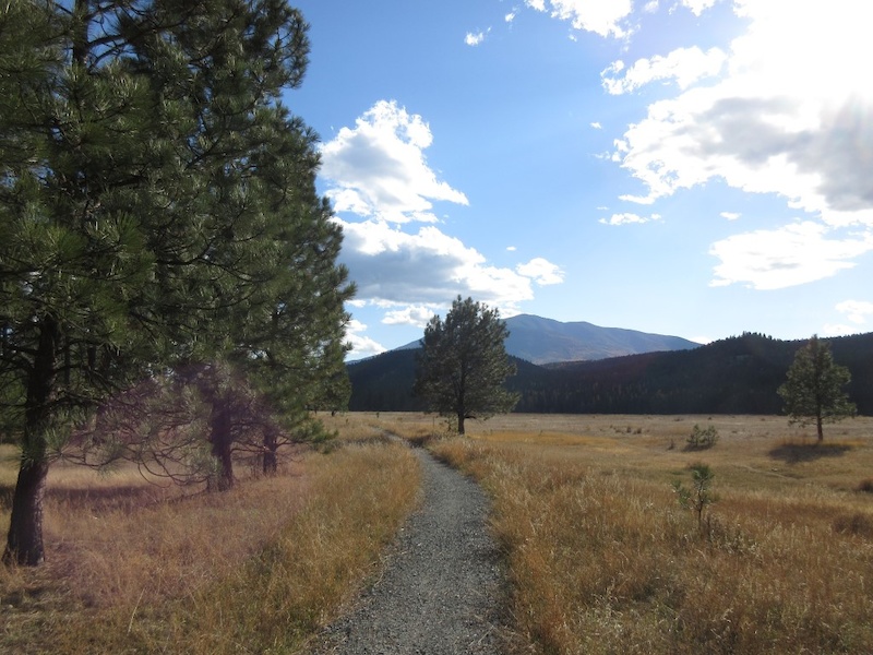 Rampart Prairie Connector (Chief Isadore Trail) Multi Trail - Cranbrook, BC