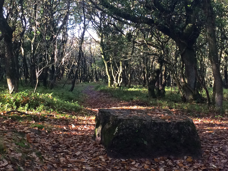 Concrete Block Mountain Biking Trail - Taunton