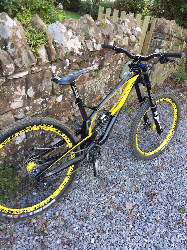 2017 Nukeproof Pulse Large For Sale