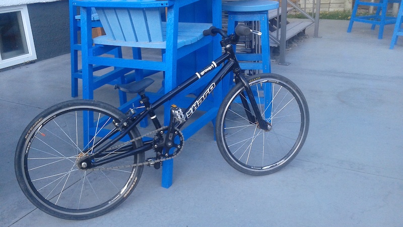 Haro Mini Sr For Sale