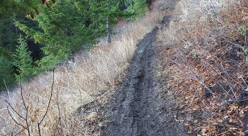 Short Stack Multi Trail - Park City, Utah | Trailforks