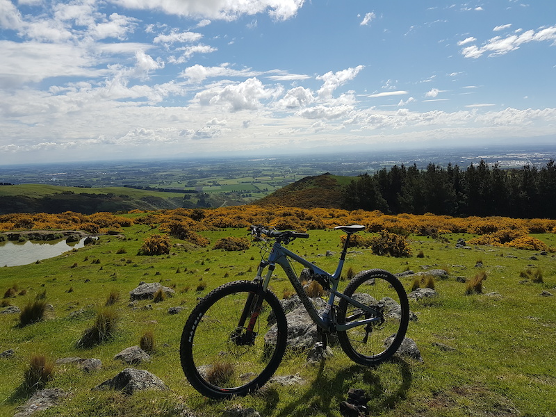 Kennedys Bush Track Multi Trail - Christchurch