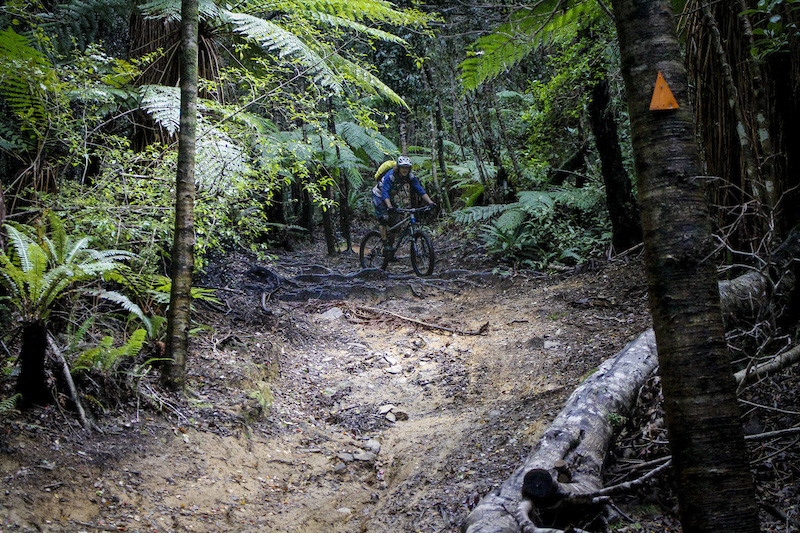 The Rameka Mountain Biking Trail - Takaka | Trailforks