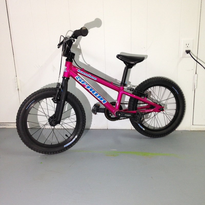 2015 Spawn Banshee For Sale