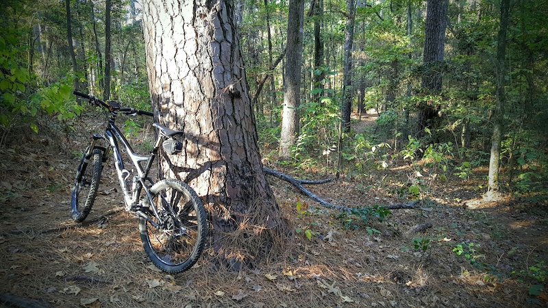 Loop C Multi Trail - Tyler State Park, Tyler, Texas