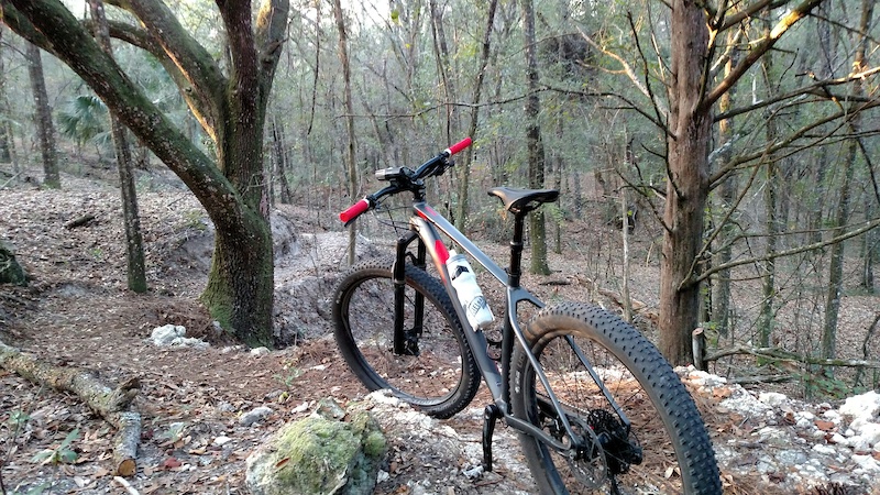 Razorback Ridge Multi Trail - Ocala, Florida