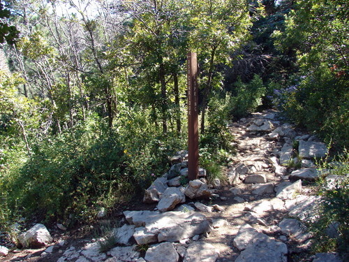 Tree Spring Multi Trail - Albuquerque, New Mexico