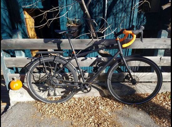2016 Specialized AWOL custom ultegra cgr For Sale