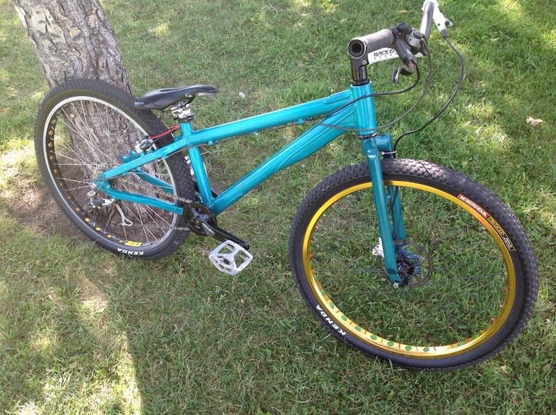 Planet X Zebdi frame For Sale