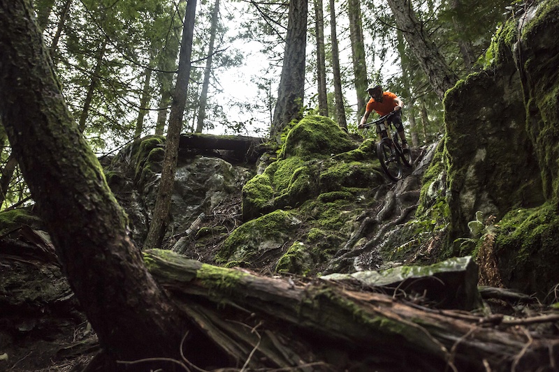 Wild Cherry Mountain Biking Trail - West Vancouver
