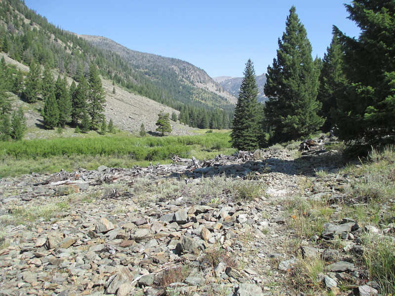 Patterson Creek Mountain Biking Trail - Leadore, Idaho