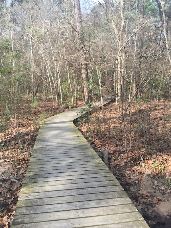 Chinquapin Trail Multi Trail - Huntsville, Texas