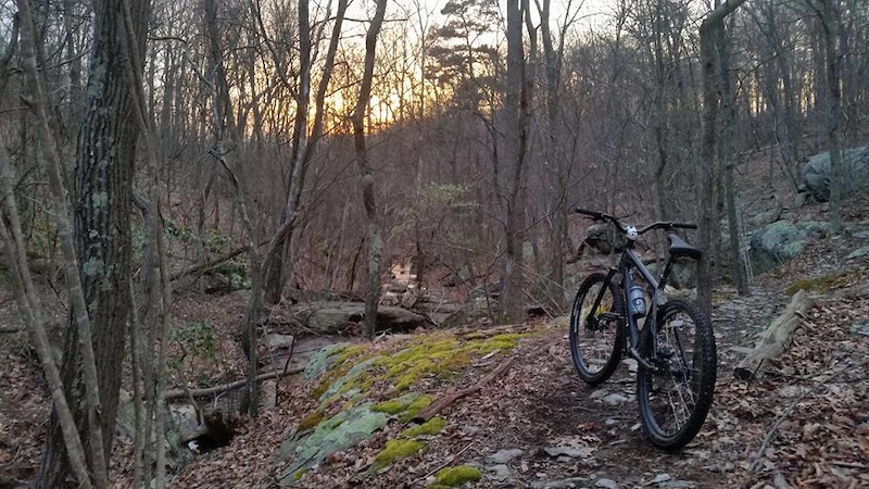 Rolling Ridge Figure 8 Mountain Biking Trail - Riverside