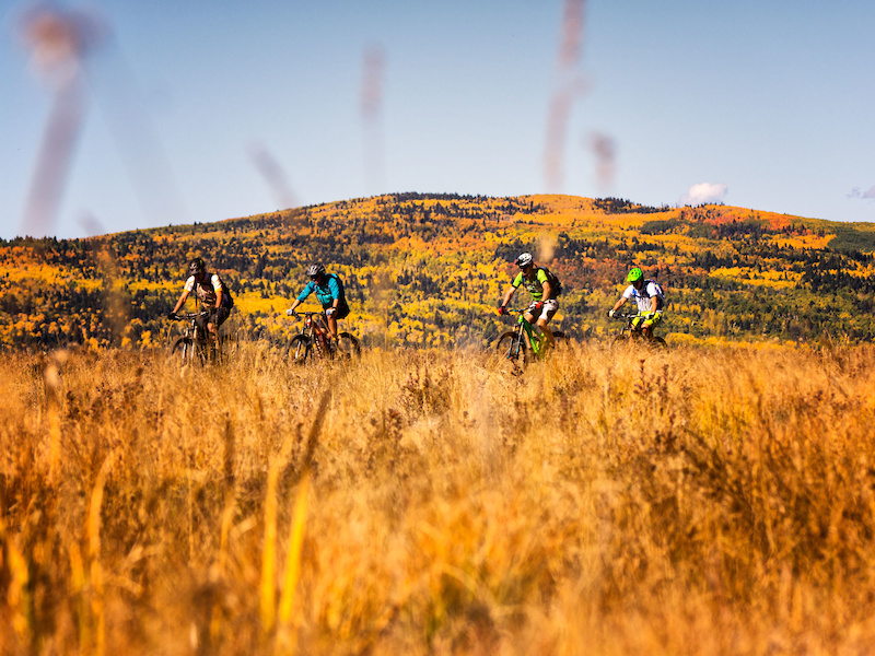 South Boundary Trail - Osha Pass to Garcia Park Multi Trail - Taos