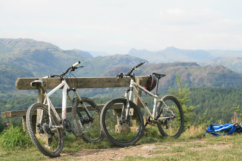 On One - Inbred For Sale