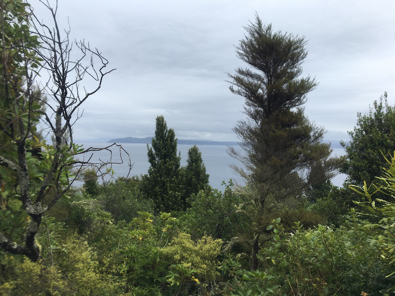 Orakau Mountain Biking Trail - Taupo | Trailforks