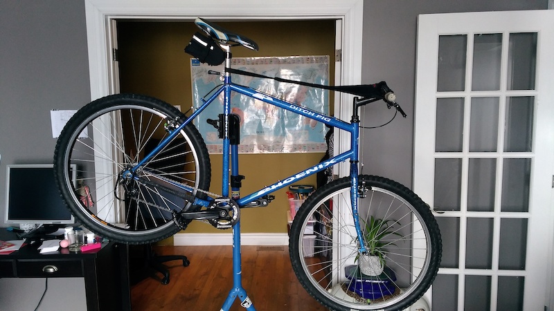 Phoenix Ditch Pig For Sale