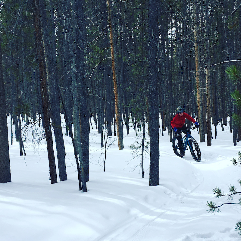 Candyland | Trailforks