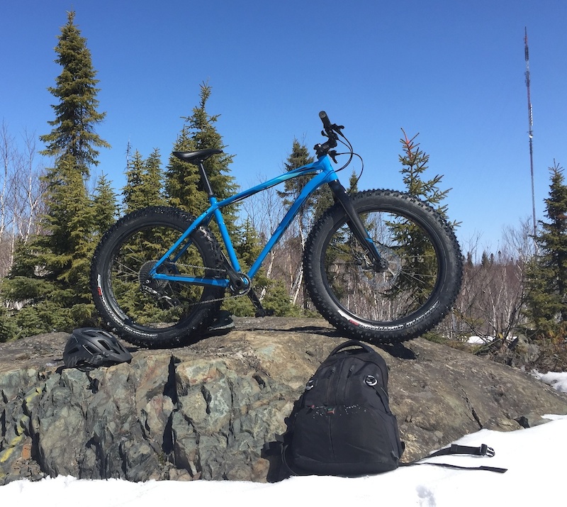 2016 Specialized Fatboy - Large For Sale