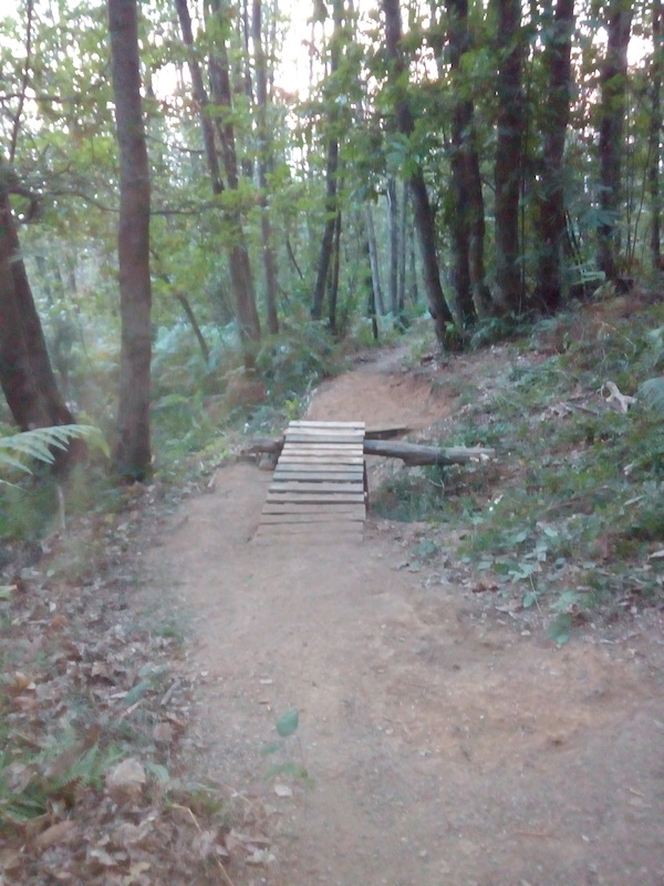 Felix Mountain Biking Trail - Mt Belvedere, Massa