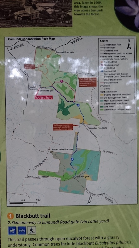 Eumundi Conservation Park, Eumundi Mountain Bike Trails | Trailforks