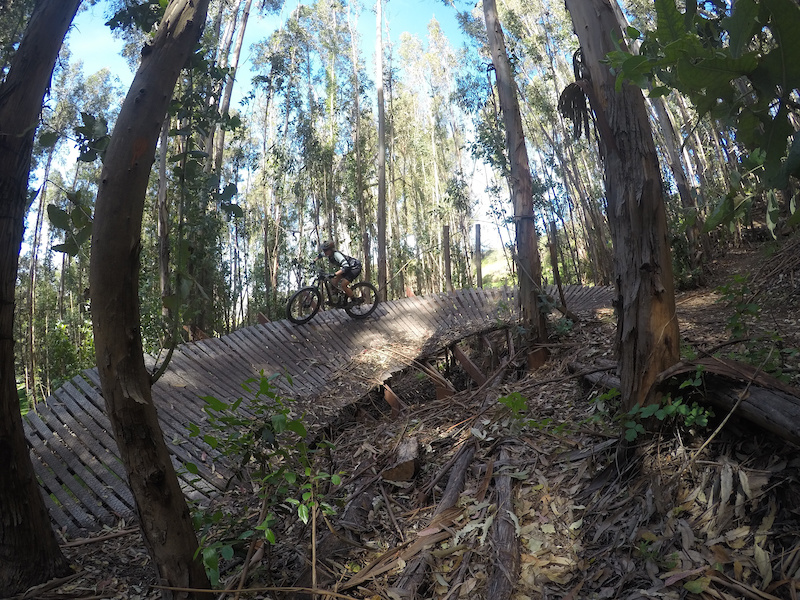Flying Ewok-The Eucs Mountain Biking Trail - San Luis Obispo