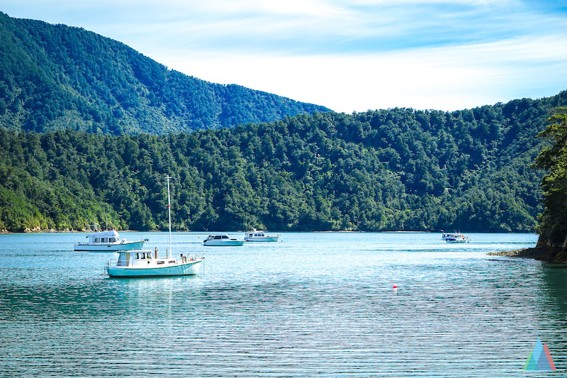 NZ Must Do – Nydia Track - Pinkbike