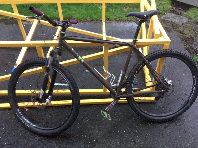 Raleigh XXIX +G Steel Hardtail 29er XL For Sale