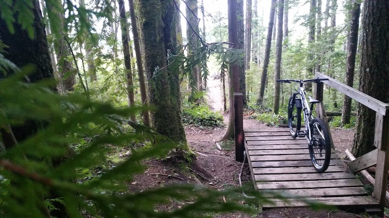 Mach Chicken Mountain Biking Trail - Roberts Creek