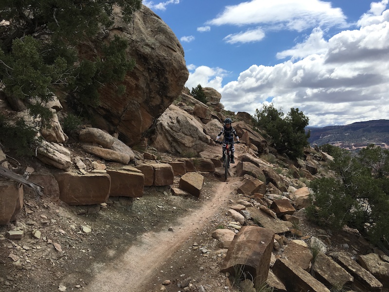 Fun Intermediate Kokopelli Loop Mountain Biking Route | Trailforks