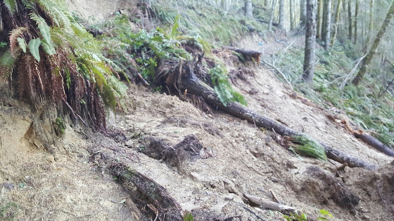 TIMBER BEAST Hiking Trail - Banks, Oregon | Trailforks