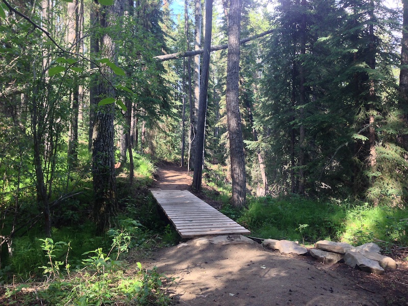 Edson, Alberta Mountain Biking Trails | Trailforks