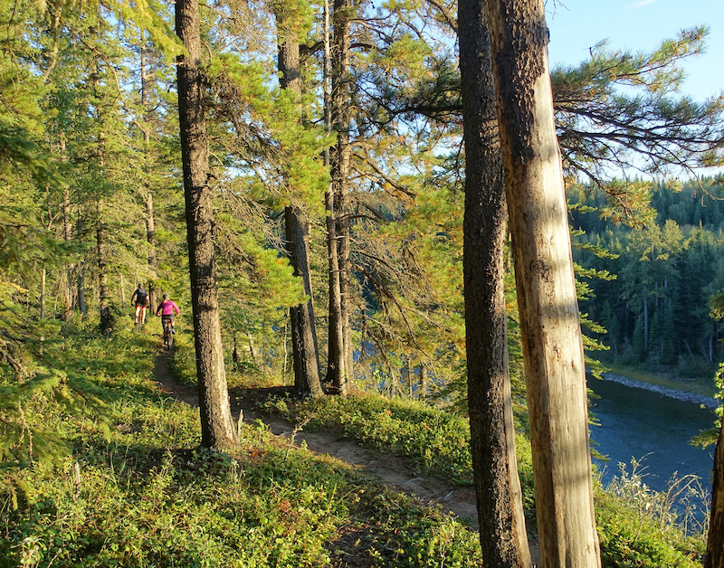 Cliff Mountain Biking Trail - Edson, AB | Trailforks