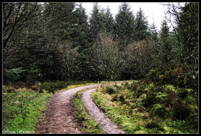 Ben Bouie Climb Multi Trail - Ben Bowie, Helensburgh