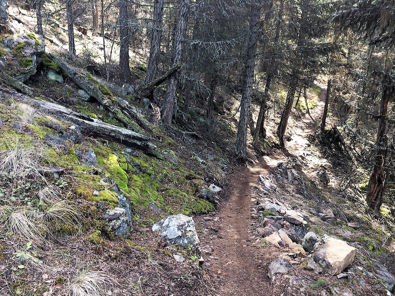 Epic Big Ed loop with Fraidy Cat and 36DD options Mountain Biking Route ...