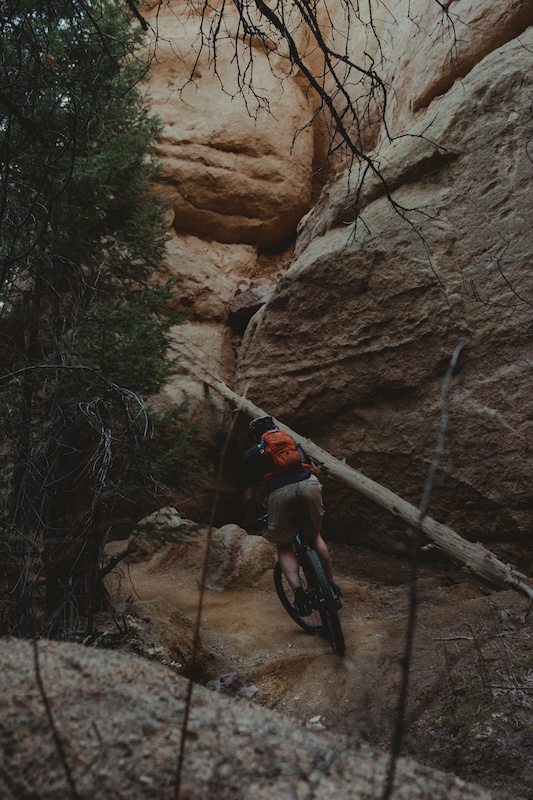 Limbaugh Canyon (#715) Mountain Biking Trail - Monument