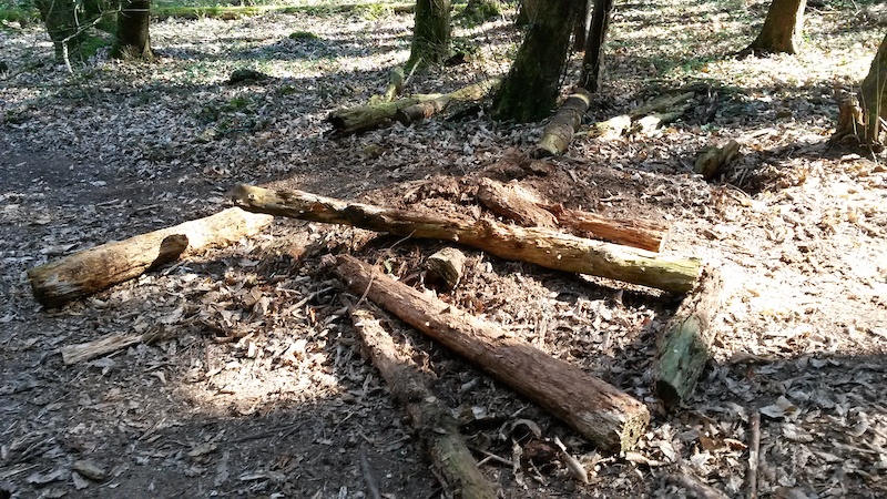 The three bears. Mountain Biking Trail - | Trailforks