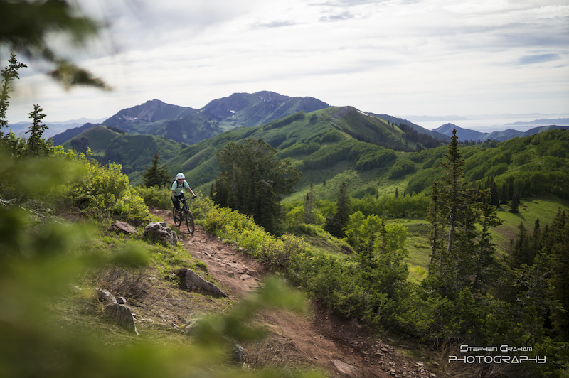 Wasatch Crest (Puke Hill) Multi Trail - Park City, Utah