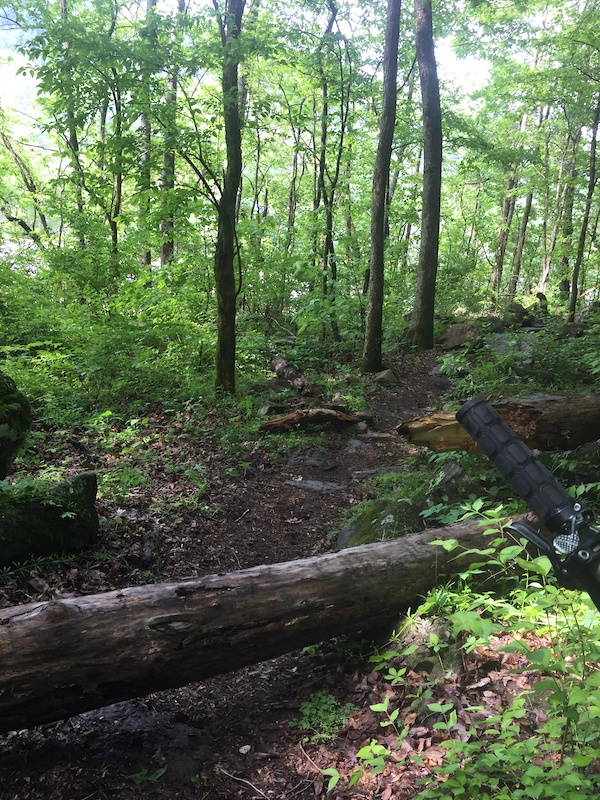 Boat Ramp Connector Mountain Biking Trail - Jasper