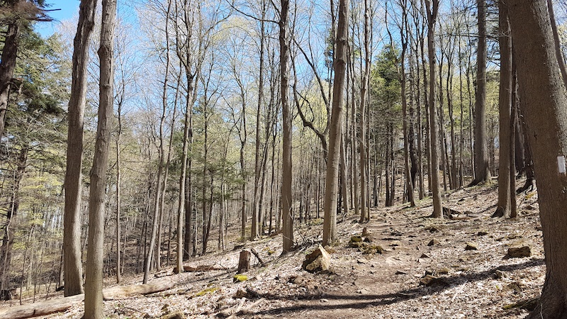 Bruce Trail Hiking Trail - Hamilton, Ontario